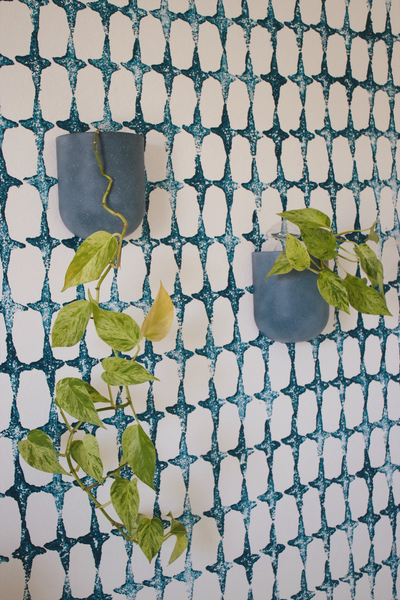 Edited in Tezza with: Shadows, Saturation, Rose, & KLASSE – Pumps & Protractors